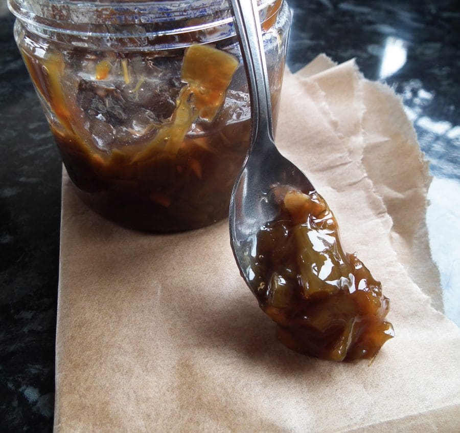 Yew Tree (Taxus Baccata) Identification