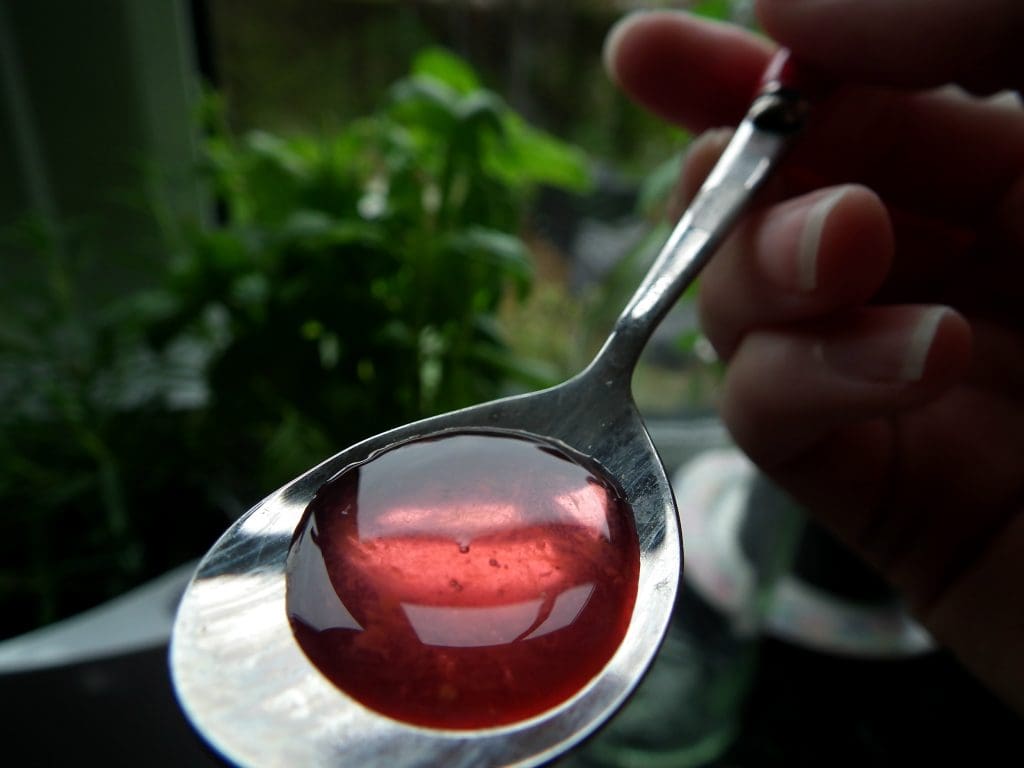 Angelica (Angelica sylvestris) Identification