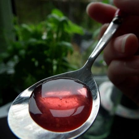 Japanese Knotweed Syrup Recipe