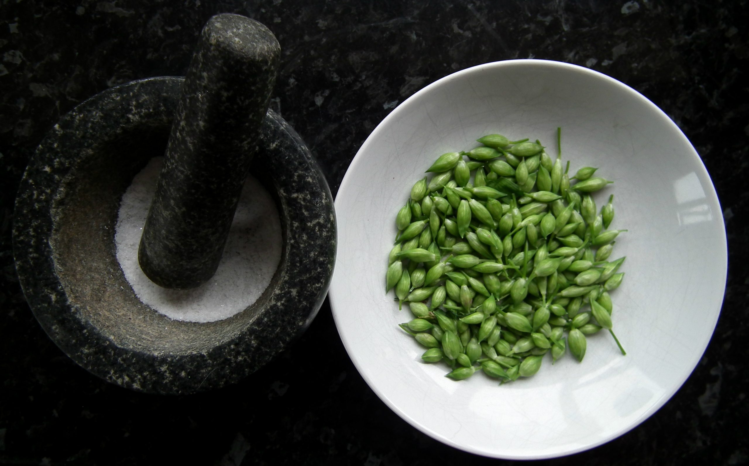 How to Cook Wild Garlic (Allium ursinum) - Totally Wild UK