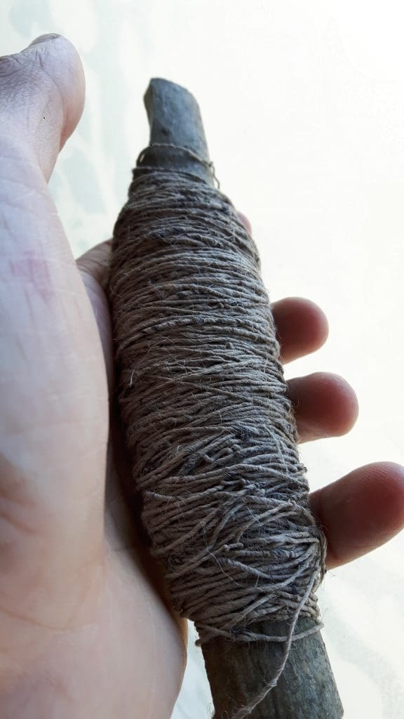Stinging Nettles (Urtica Dioica) Identification