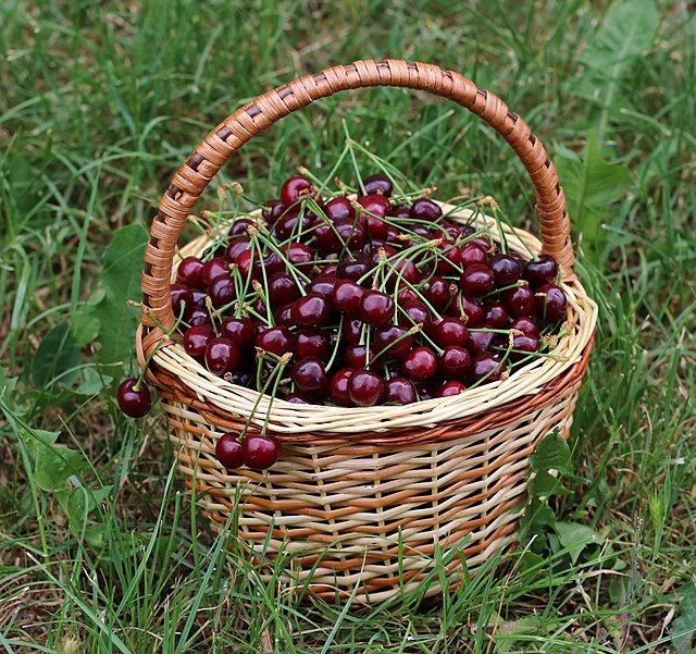 Wild Cherry Jam