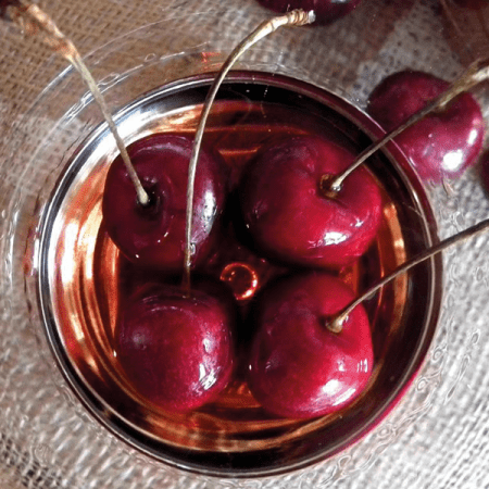 Snowberry (Symphoricarpos albus) Identification
