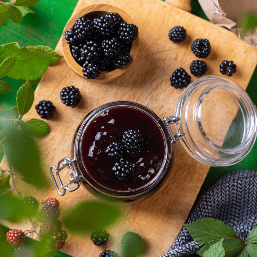 Blackberry (Rubus Fruticosus) Identification
