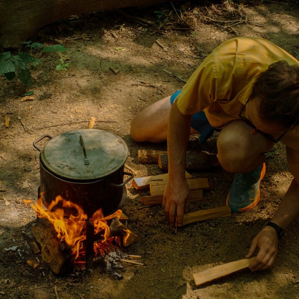 Ivory Funnel (Clitocybe Dealbata) Identification