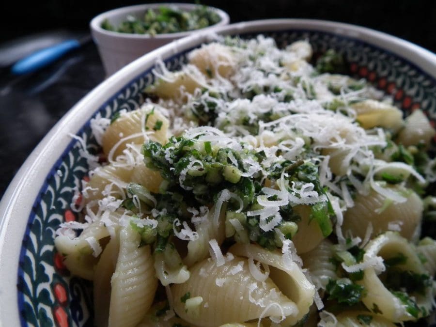 How to Tap Silver Birch Sap