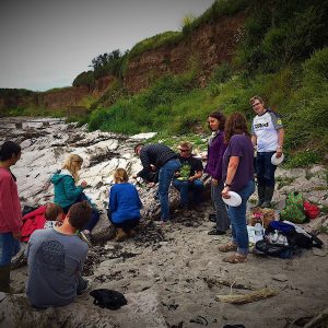 Totally Wild UK – Foraging Specialists