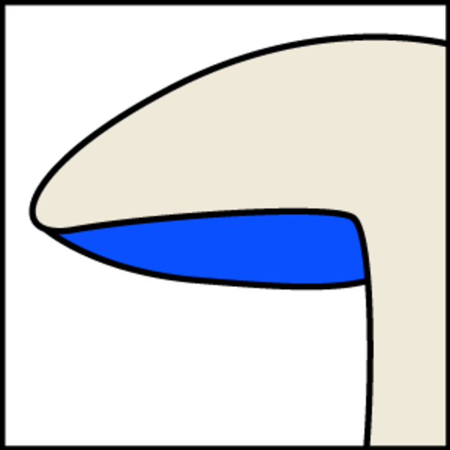 Ivory Funnel (Clitocybe Dealbata) Identification - Totally Wild UK