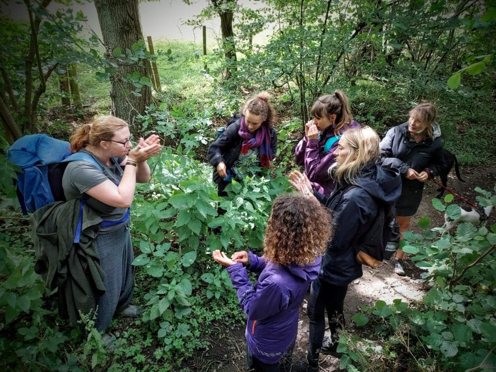 Foraging at the Coast - Totally Wild UK