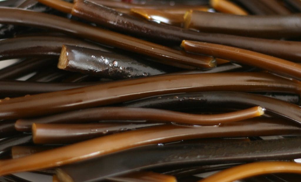 Kelp Seaweed (Laminaria species) Identification