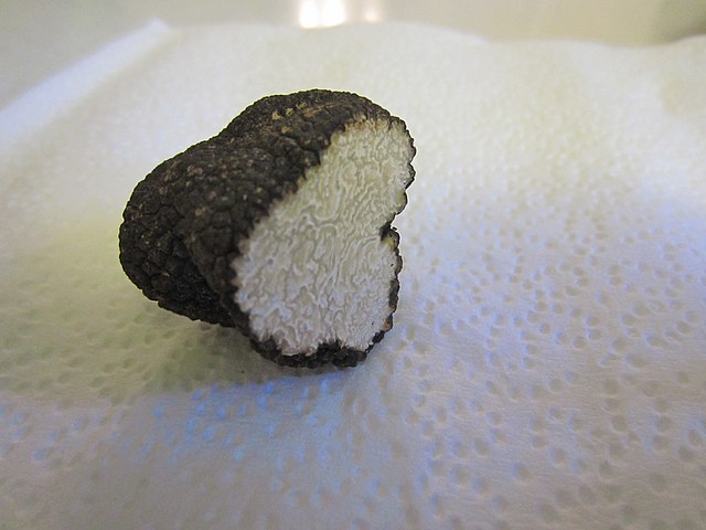 Truffles: A Great Introduction to Truffles