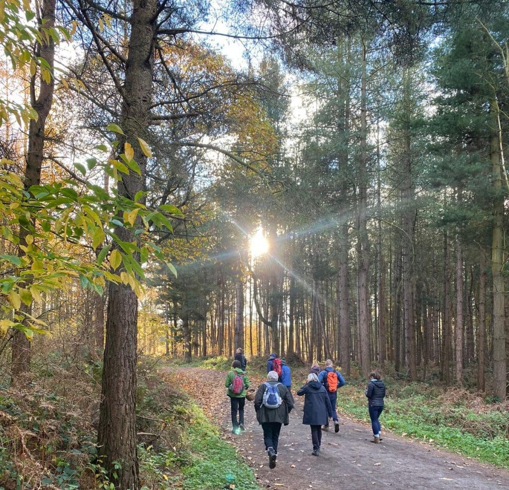 Foraging For Dyes: A Great Guide to Wild Colour