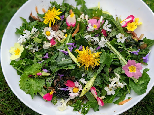 Foraged and Wild Salad with Feta