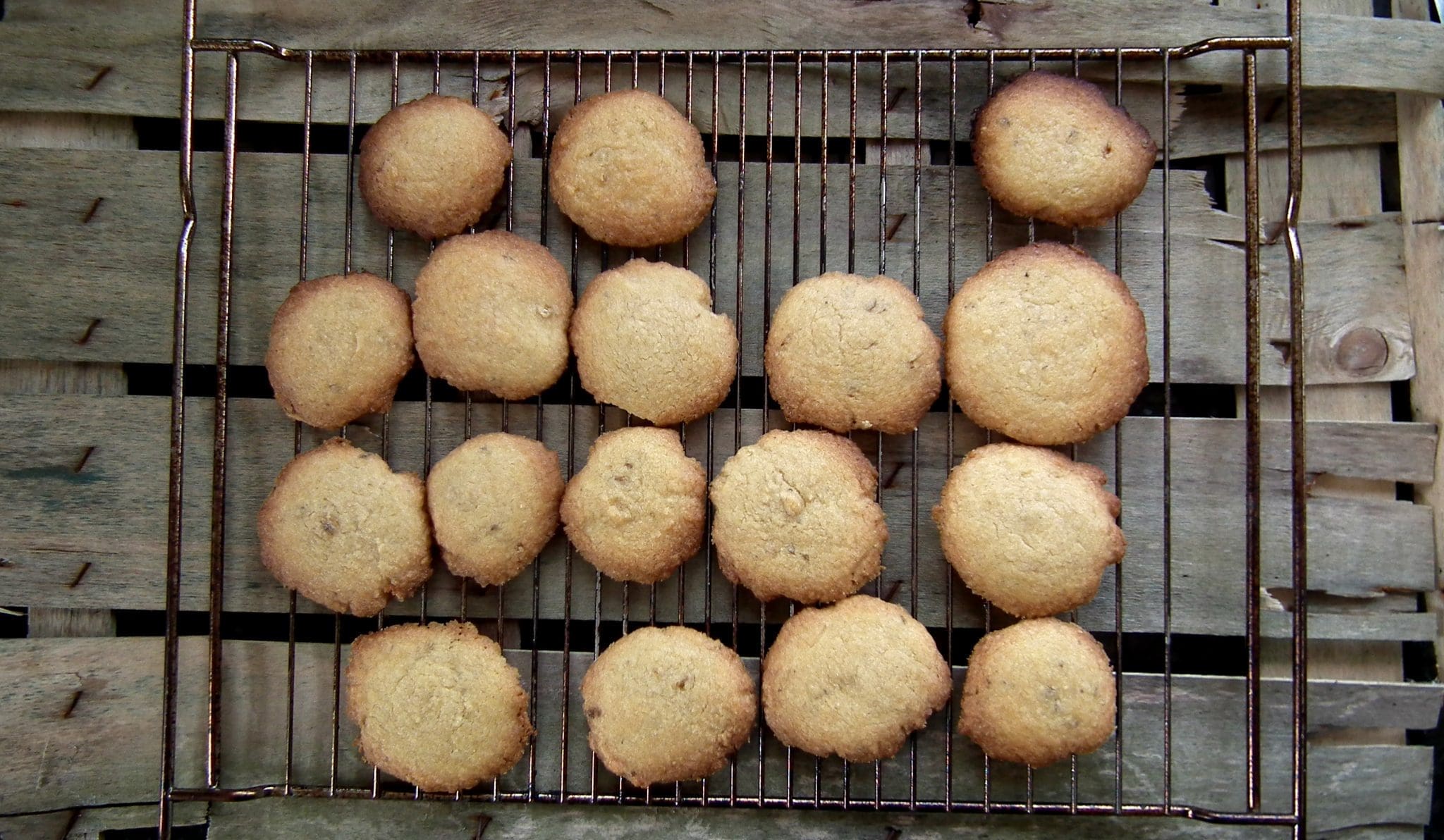 Henbane (Hyoscyamus Niger) Identification