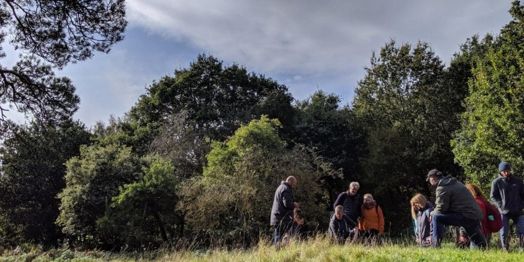 Is foraging legal in the UK?