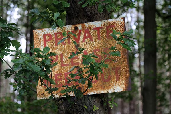 Is foraging legal in the UK?