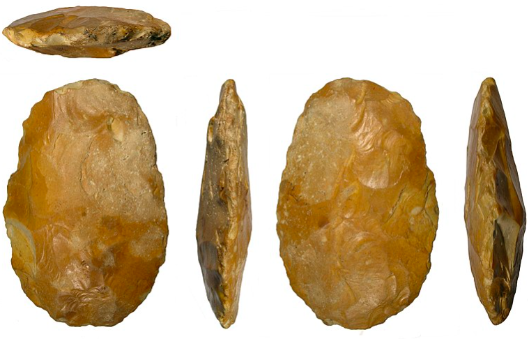 Foraging a Paleo Diet