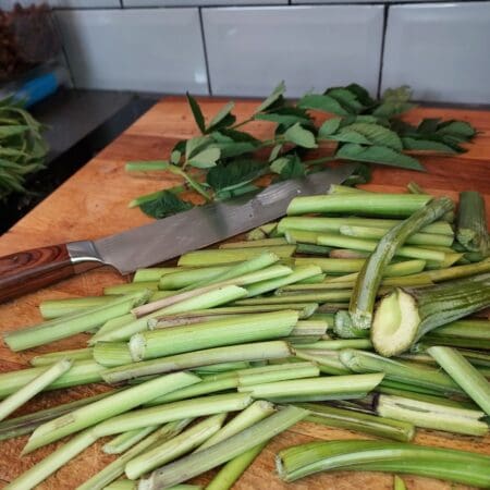 Candied Angelica Stems: Sweet Goodness