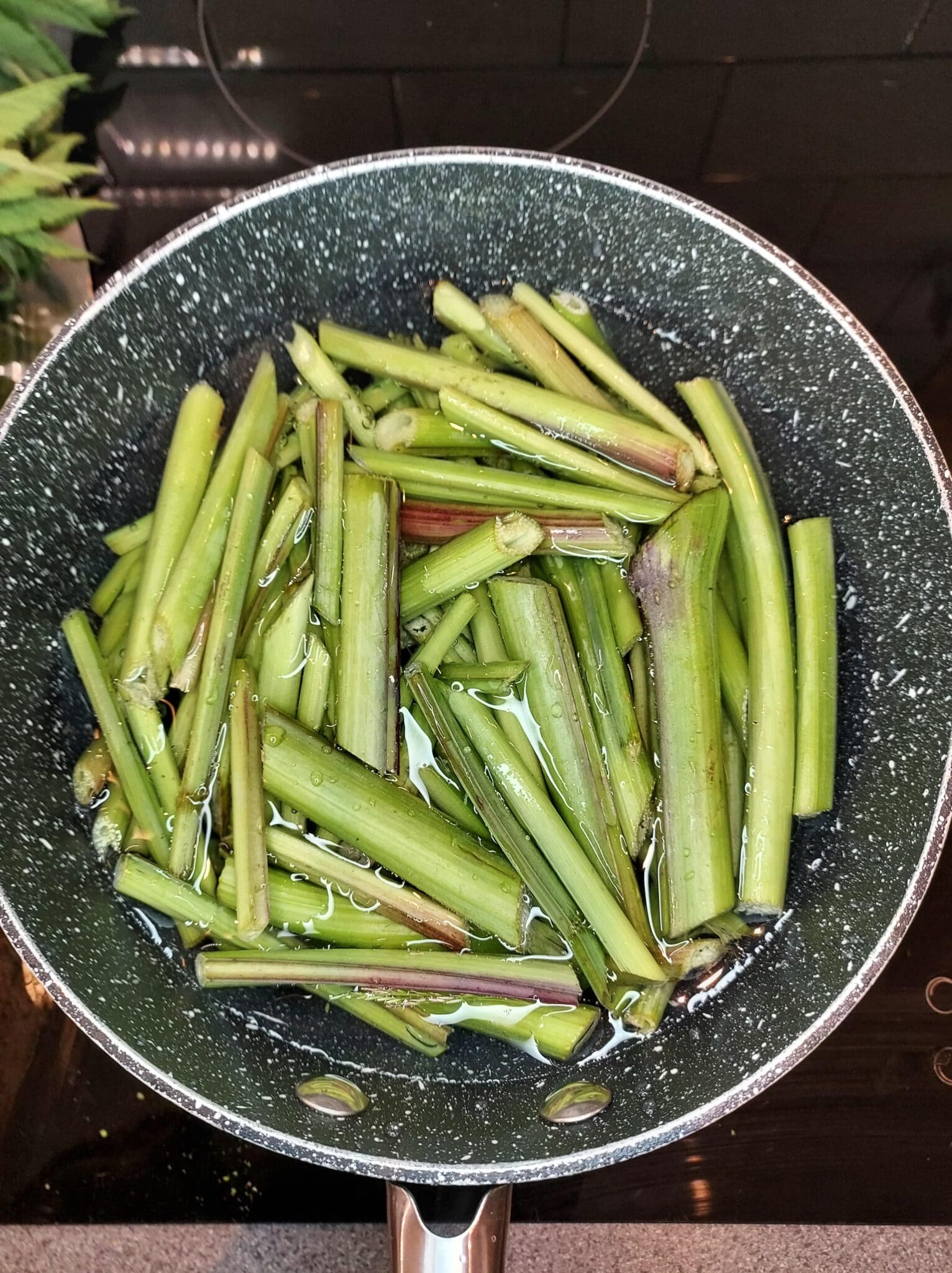 Candied Angelica Stems: Sweet Goodness