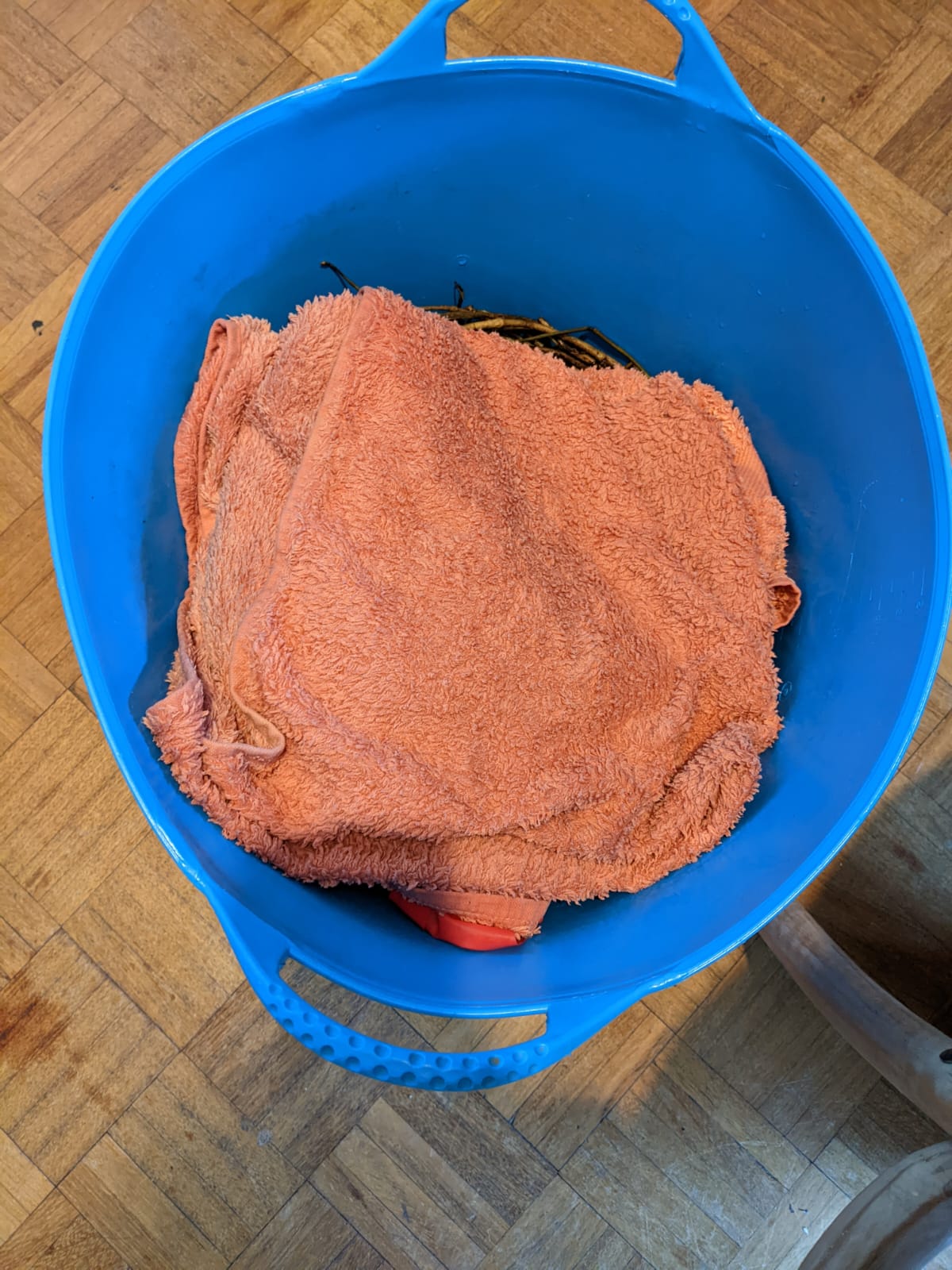 Wild Weaving: Craft a Great Foraging Basket with Ivy