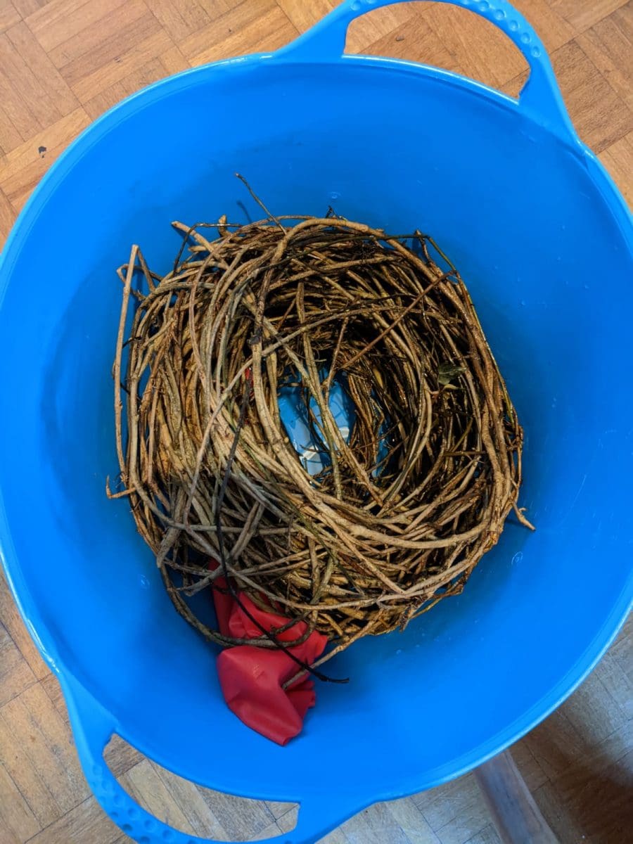 Wild Weaving: Craft a Great Foraging Basket with Ivy