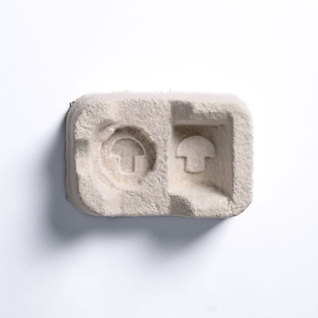 Eco-packaging from fungi