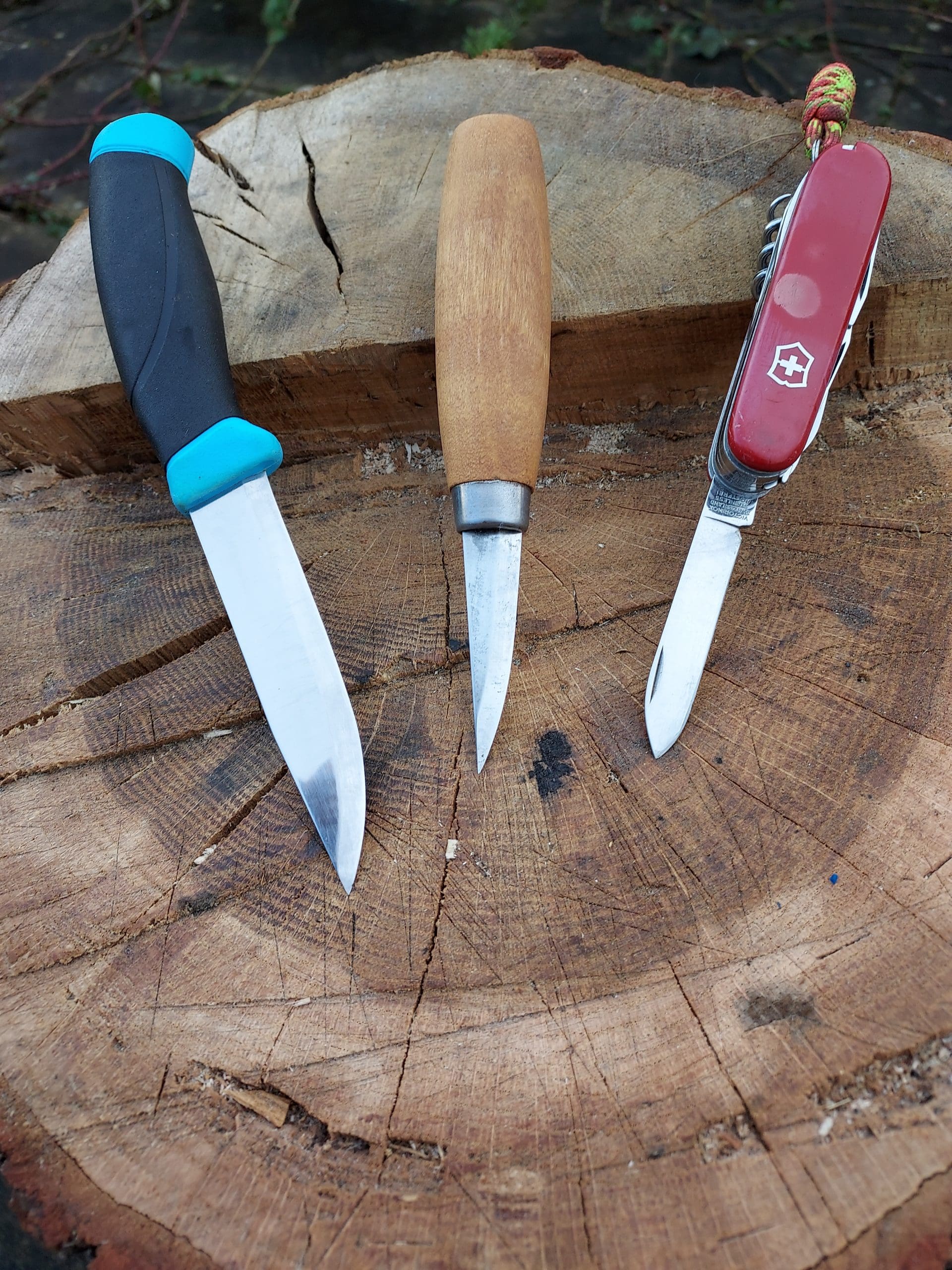 How to Make an Elder Whistle