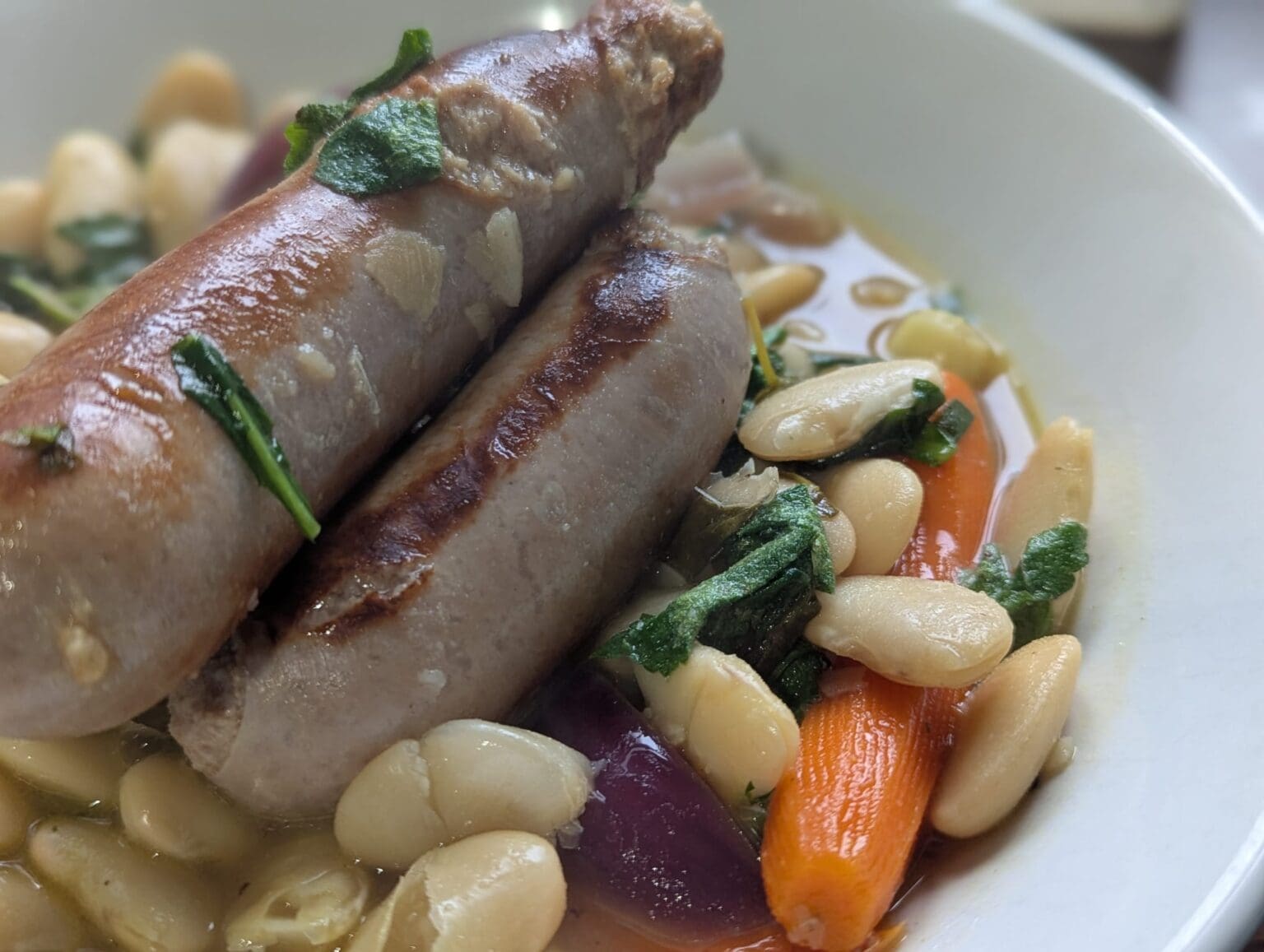 Common Hogweed (Heracleum Sphondylium) Identification