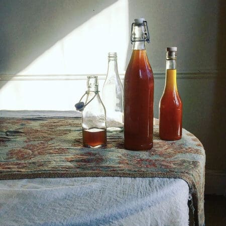Kombucha 101: Everything You Need to Know to Brew at Home