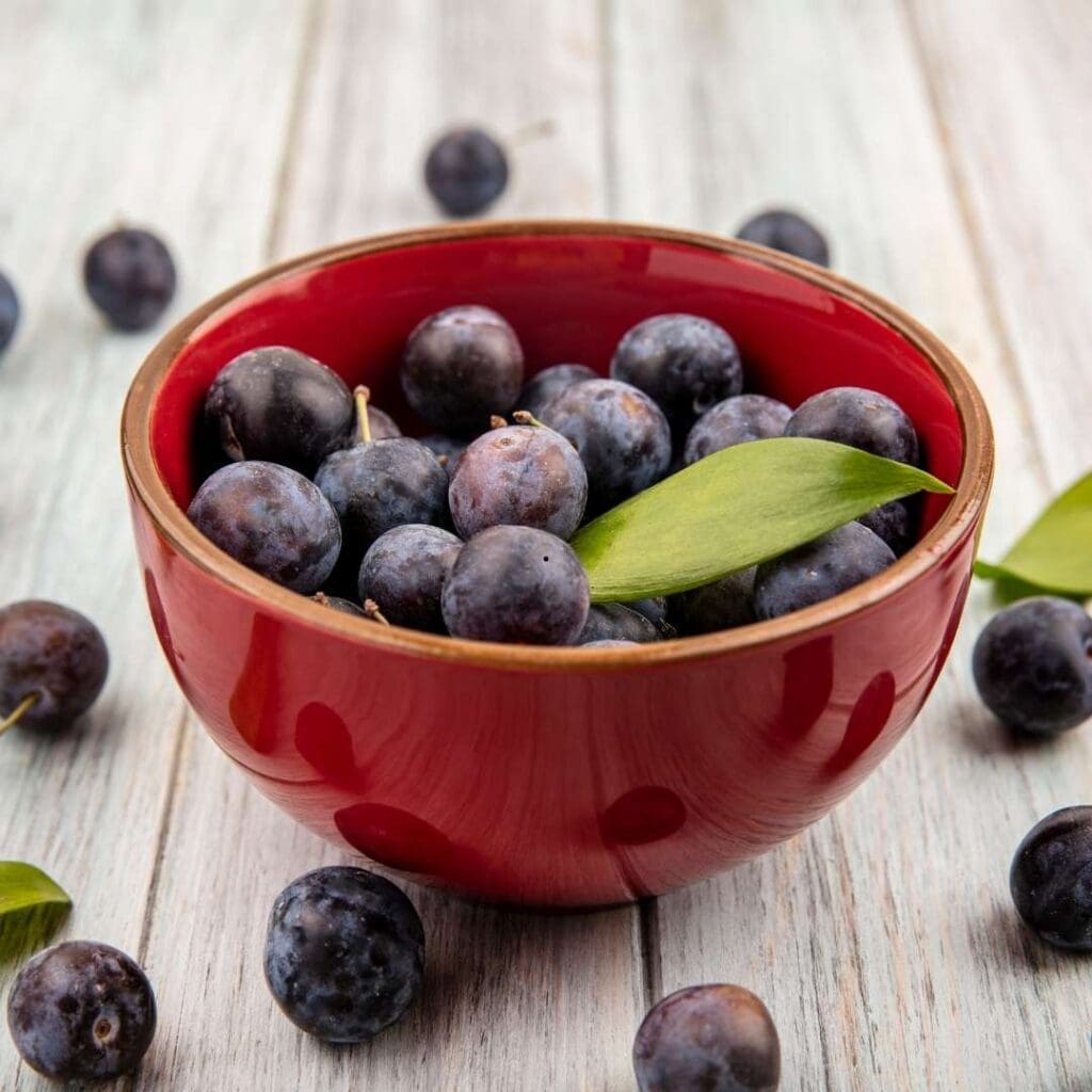 Fermented Sloe Olives Recipe: A Unique Foraged Delight