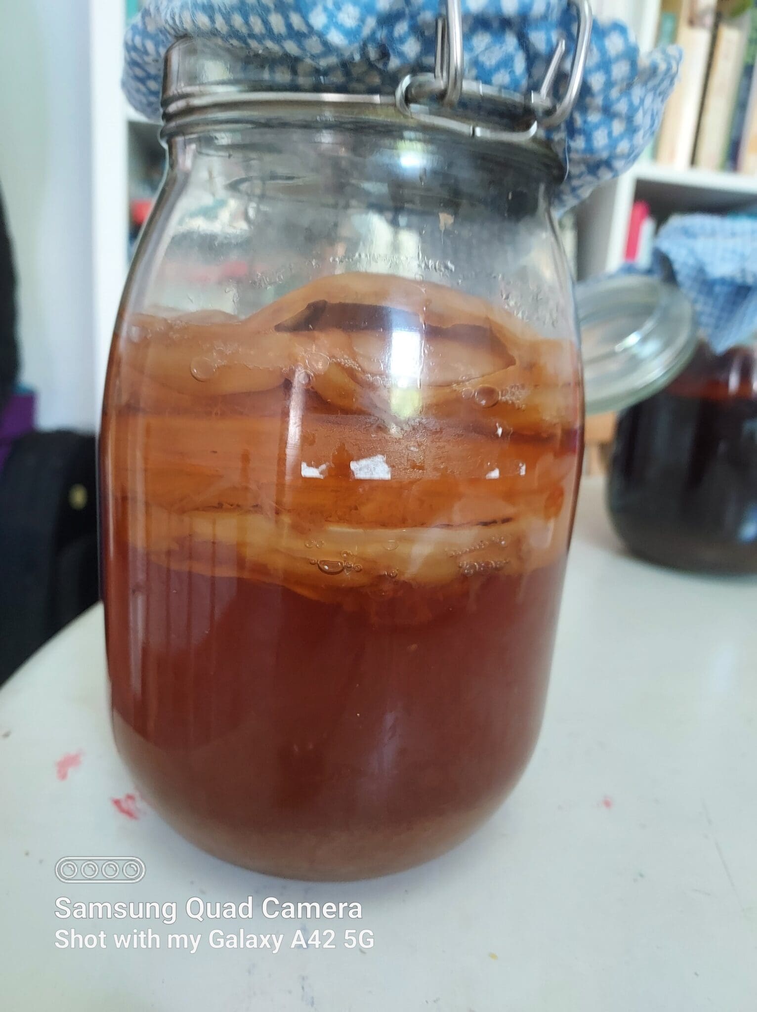Kombucha 101: Everything You Need to Know to Brew at Home