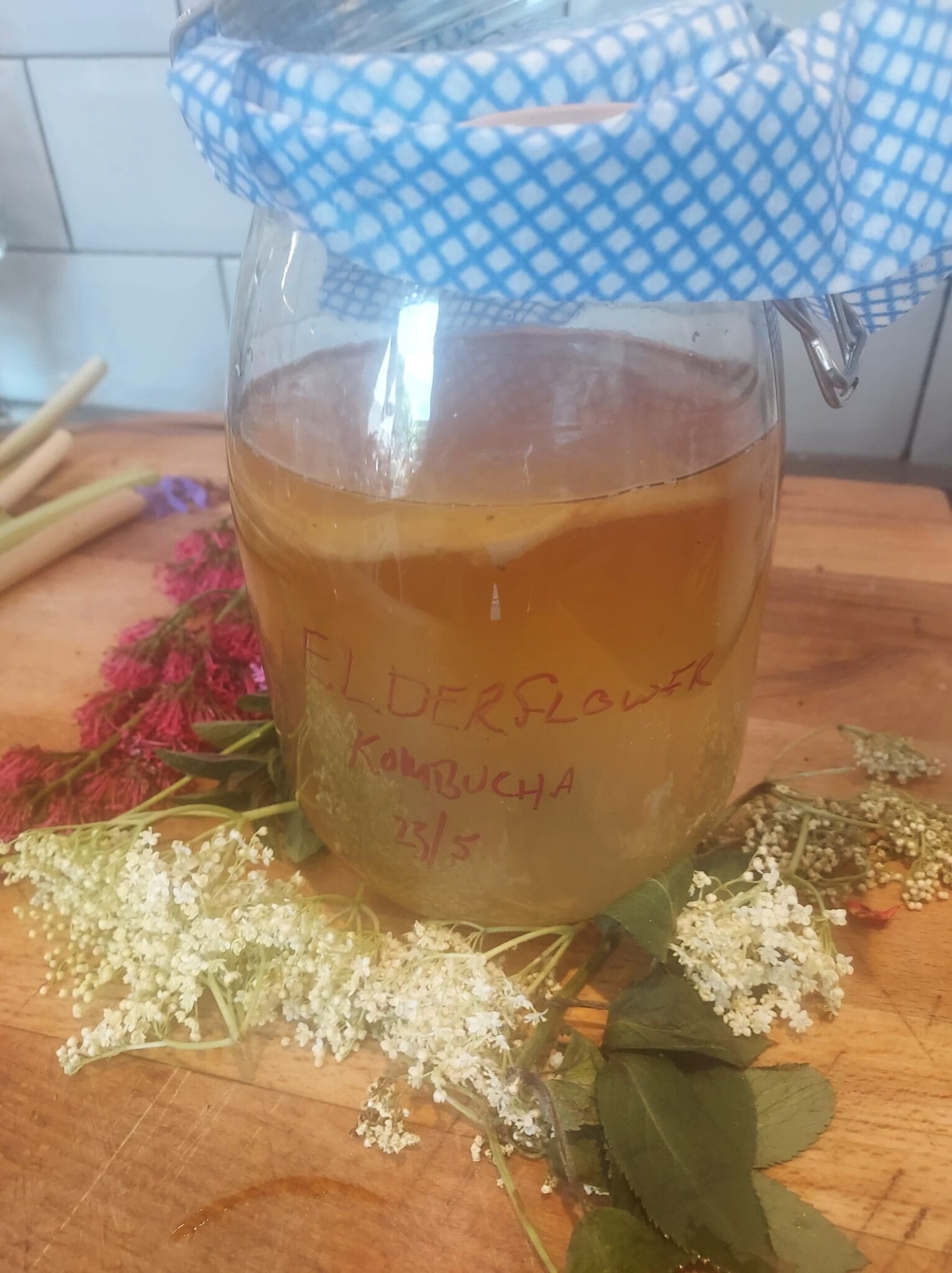 Hops (Humulus lupulus) Identification