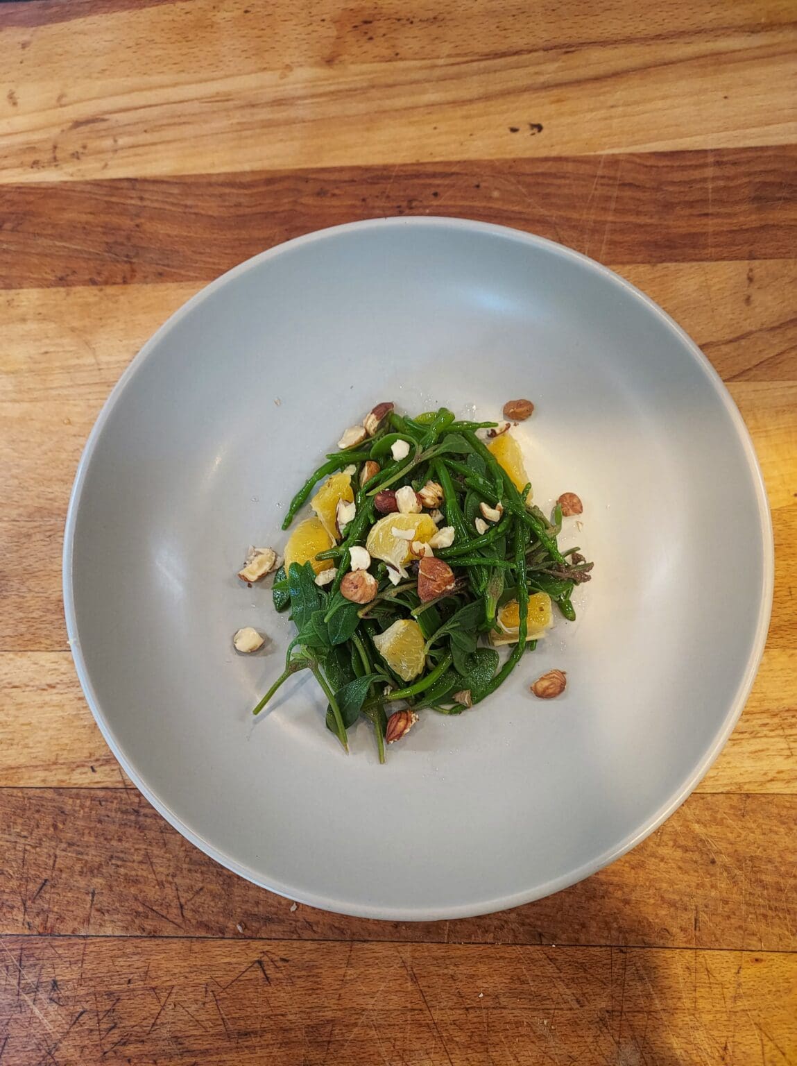 Salty Fingers (Disphyma crassifolium) Identification